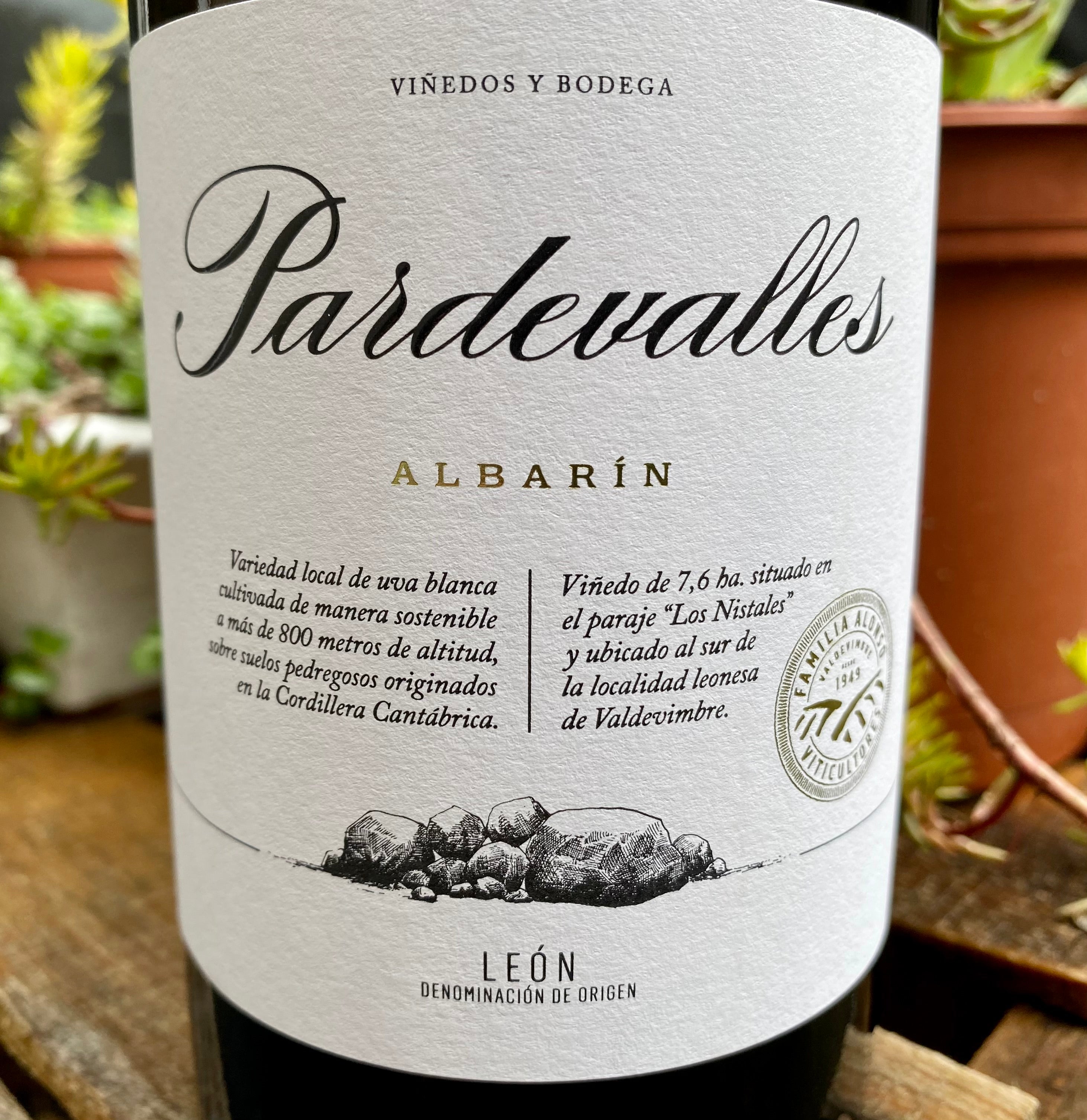 Pardevalles Albarin Blanco 2024 – Avalon Wine